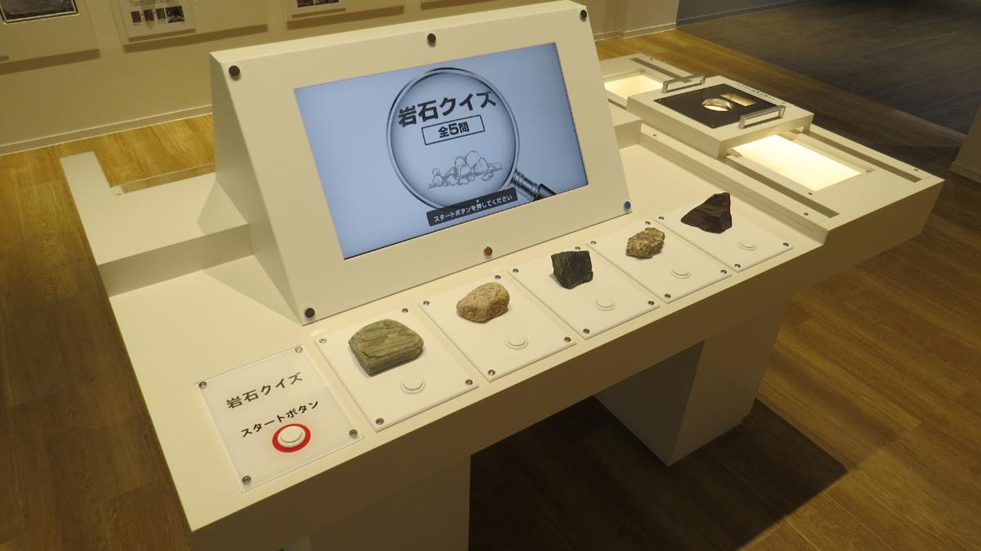 「たんば恐竜博物館」リニューアルオープンイベント参加レポート | | 土曜は丹波市に -SATURDAY TAMBA-